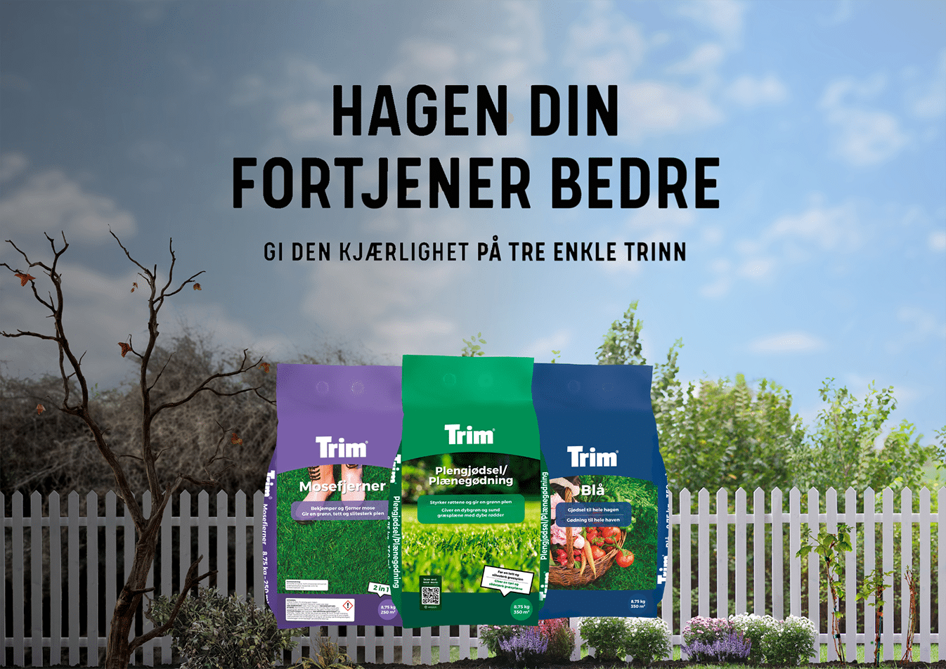 Hagen din fortjener bedre - Seezon NO